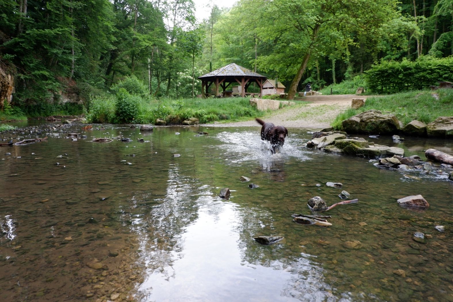 Op der Drëps - Naherholungsgebiet - Visit Guttland